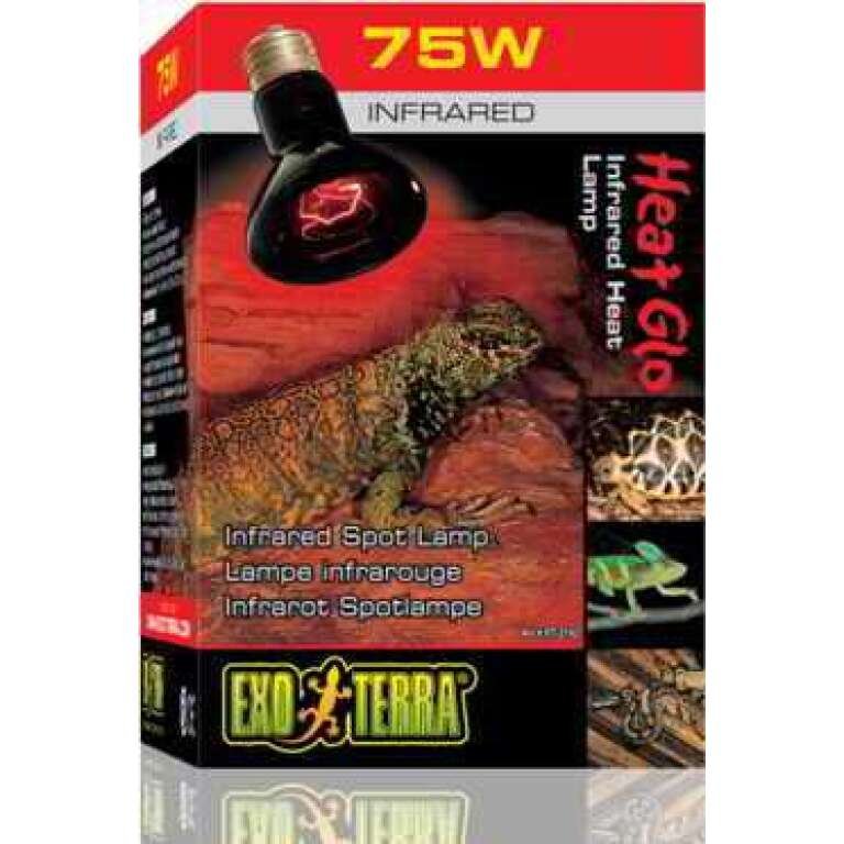 Exo Terra Heat Glo - Pet4you.net