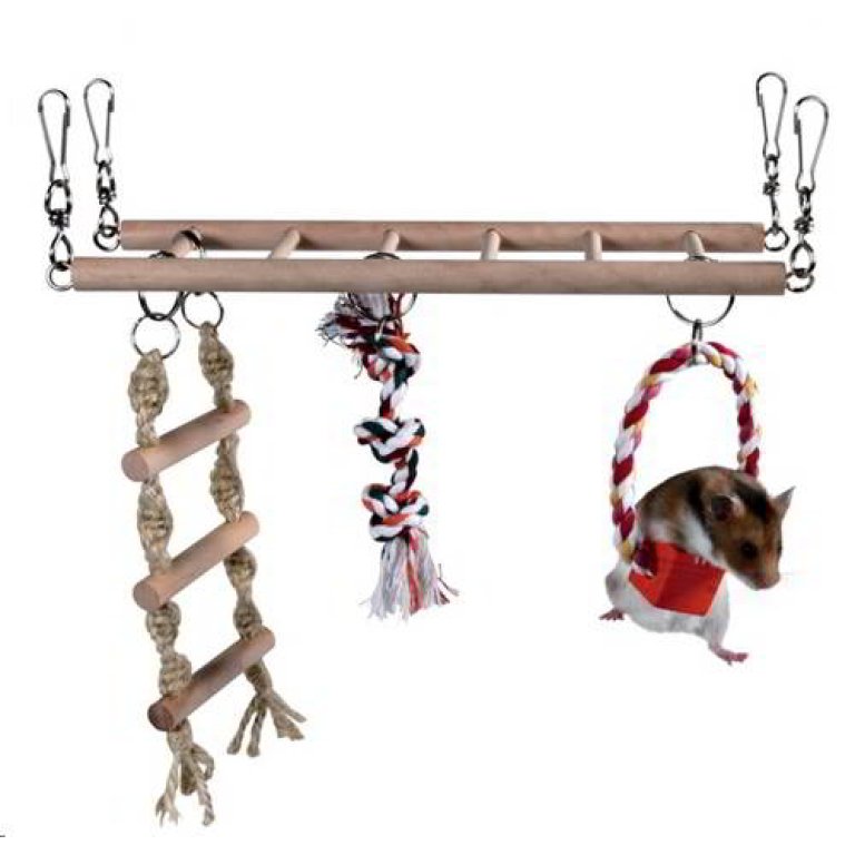 Ponte Suspensa - Pet4you.net